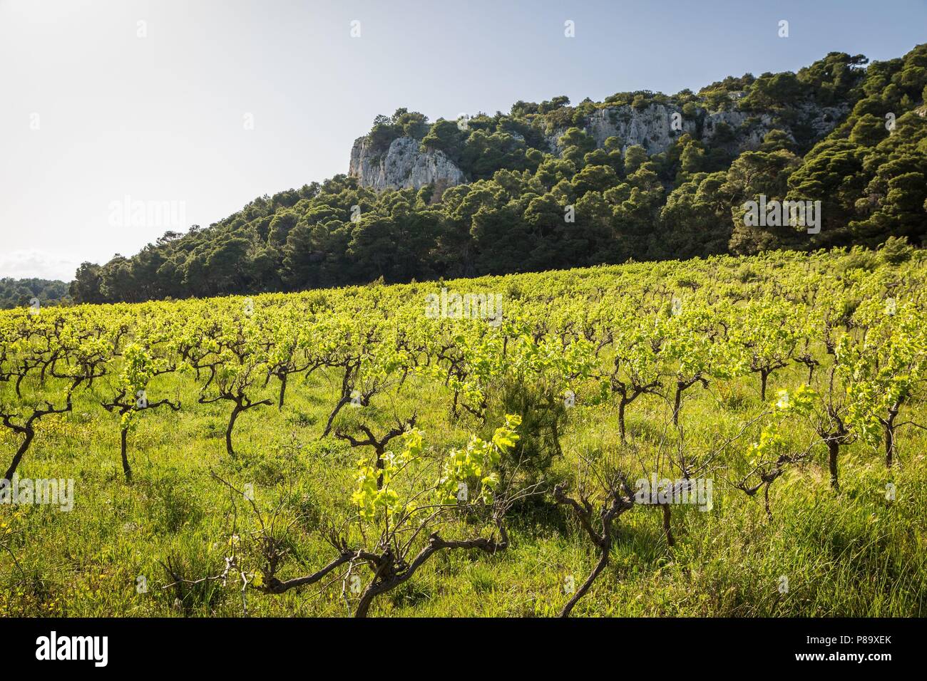 DISCOVERING GRUISSAN, FRANCE Stock Photo - Alamy