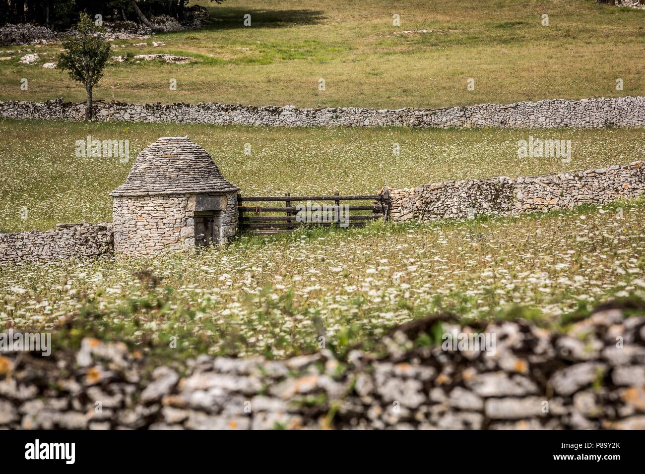 THE LOT (46), OCCITANIE, FRANCE Stock Photo - Alamy