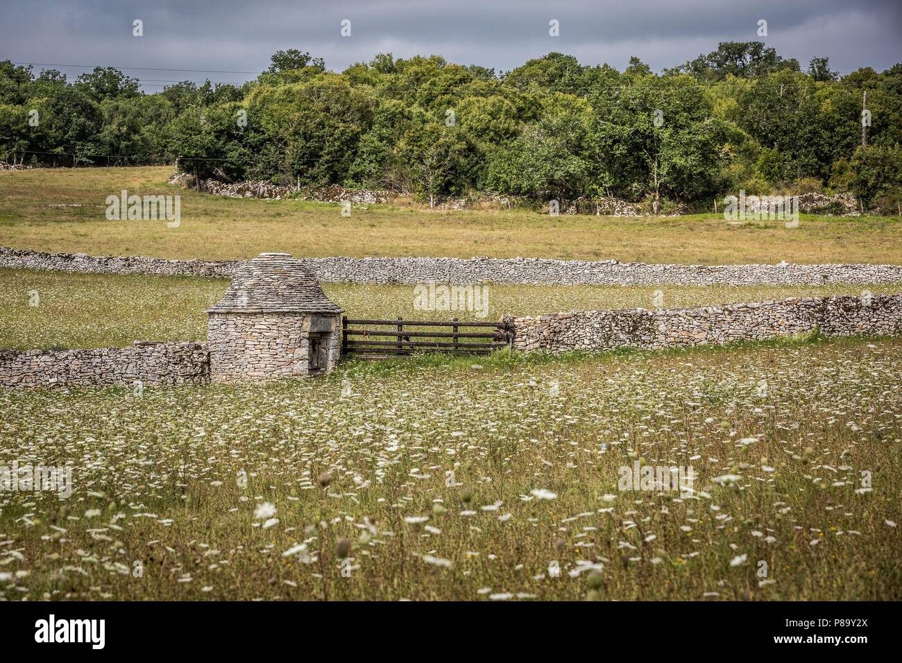 THE LOT (46), OCCITANIE, FRANCE Stock Photo - Alamy