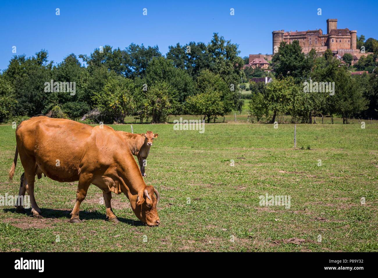 THE LOT (46), OCCITANIE, FRANCE Stock Photo - Alamy