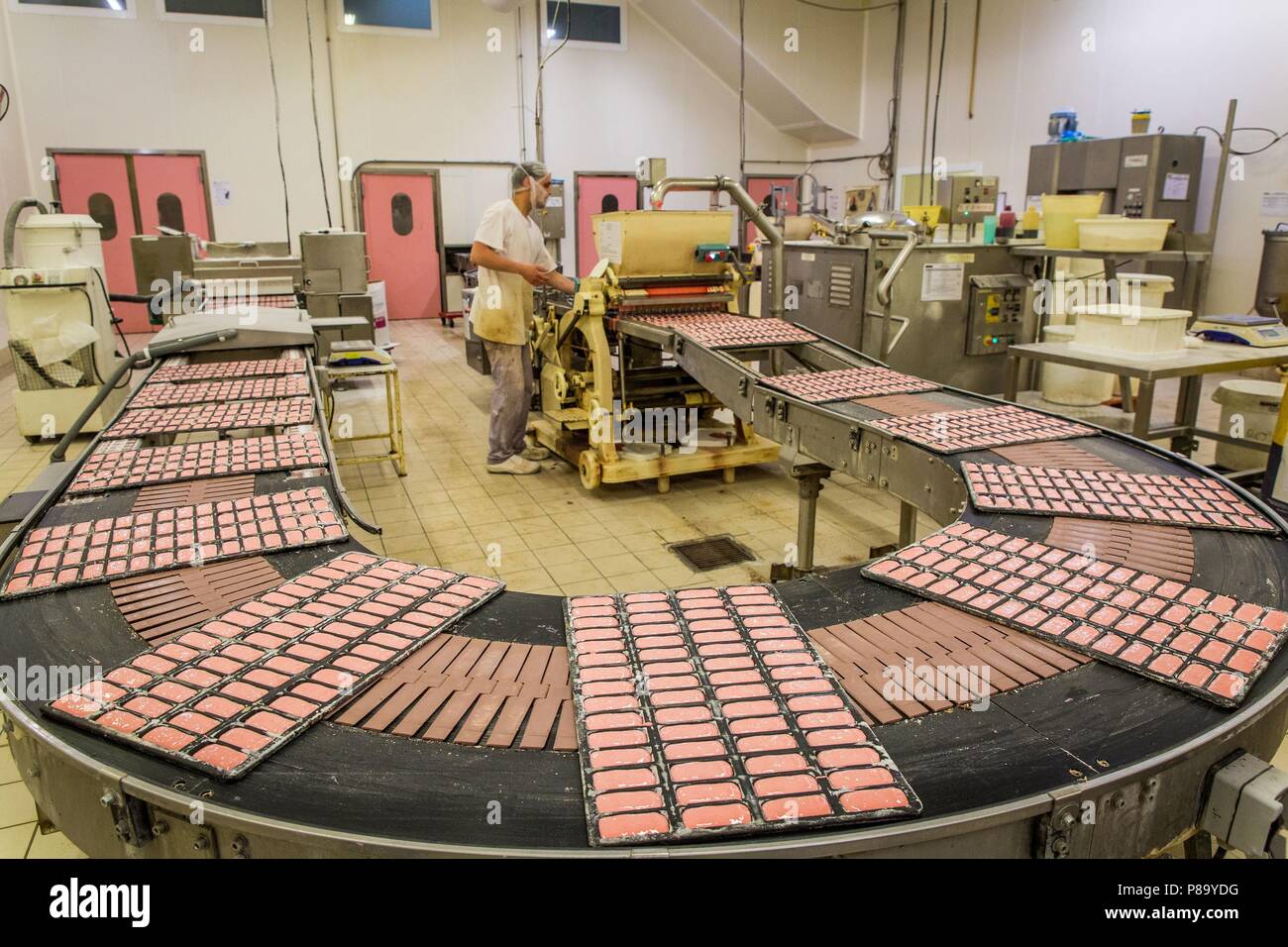 FOSSIER BISCUIT AND COOKIE FACTORY, REIMS, (51) MARNE, GRAND EST REGION ...