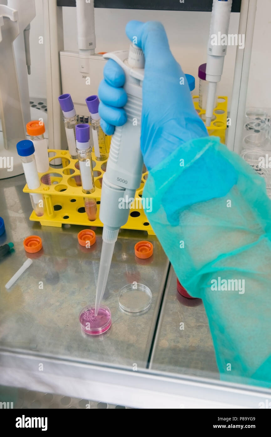 Cancer research lab hi-res stock photography and images - Alamy