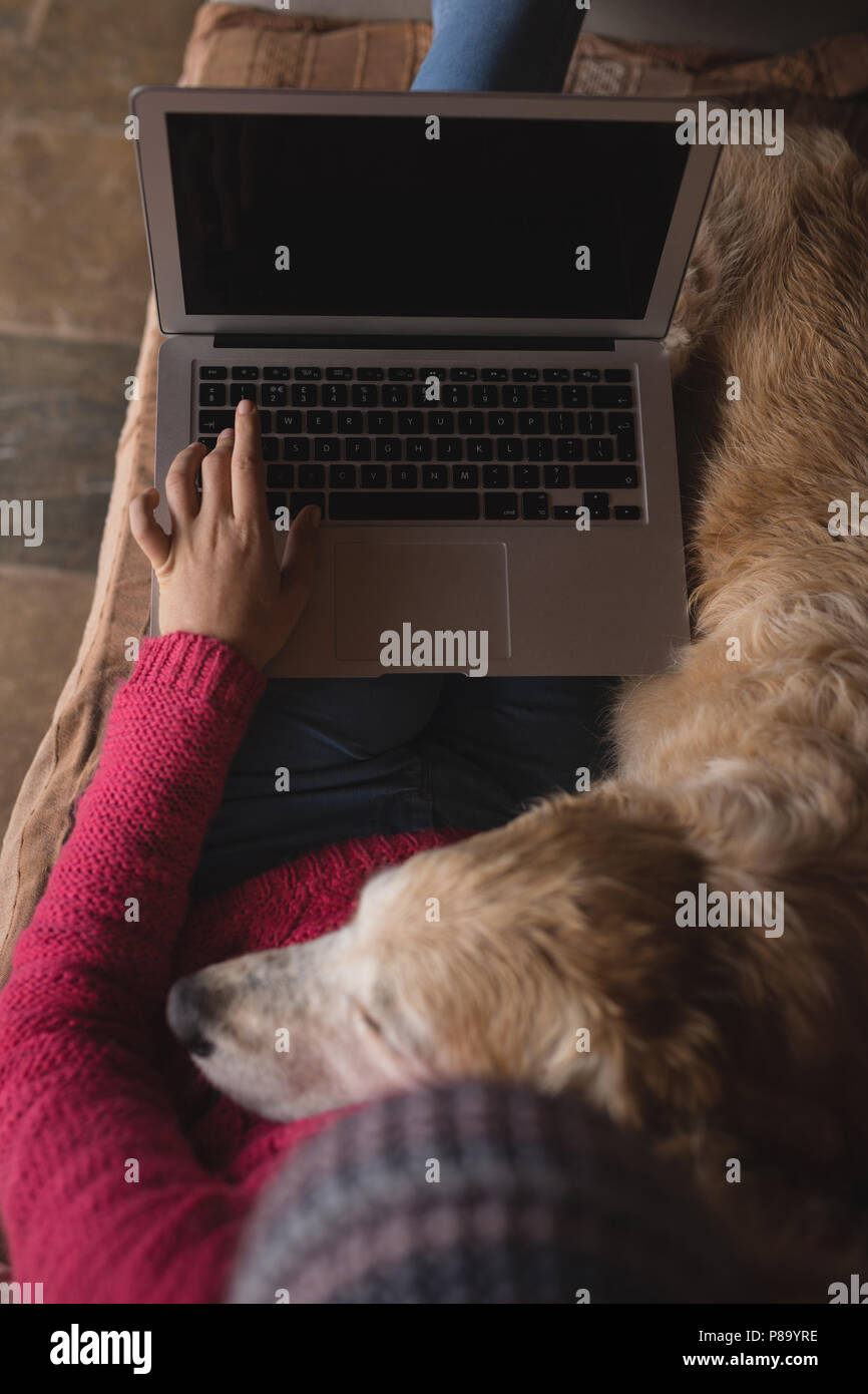 Girl with dog using laptop in living room Stock Photo - Alamy