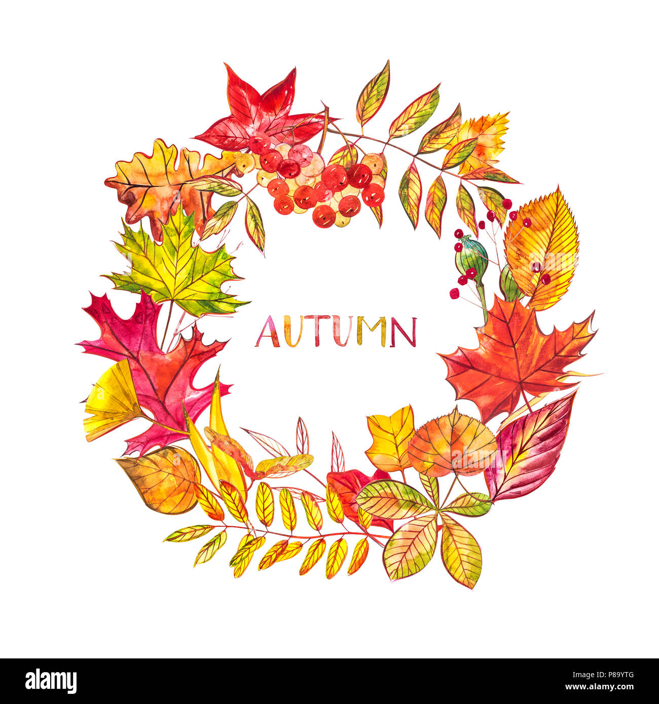 Autumn composition. Wreath made of autumn berries and leaves on white ...