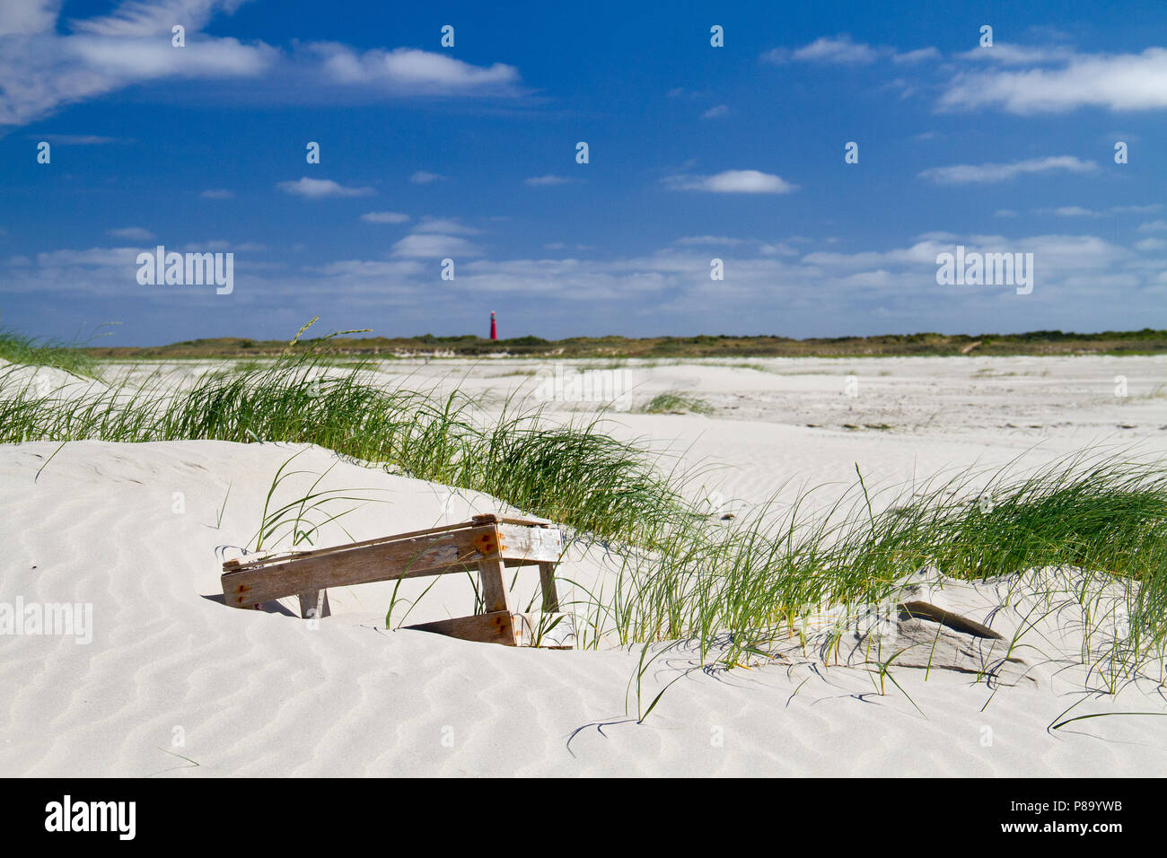 Sand couch grass hi-res stock photography and images - Alamy