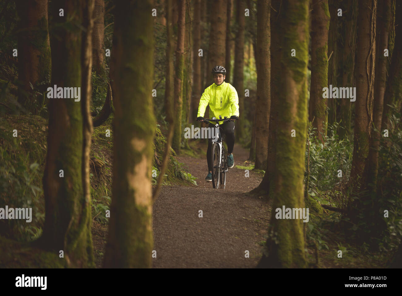 Cycling in the forest hi-res stock photography and images - Alamy