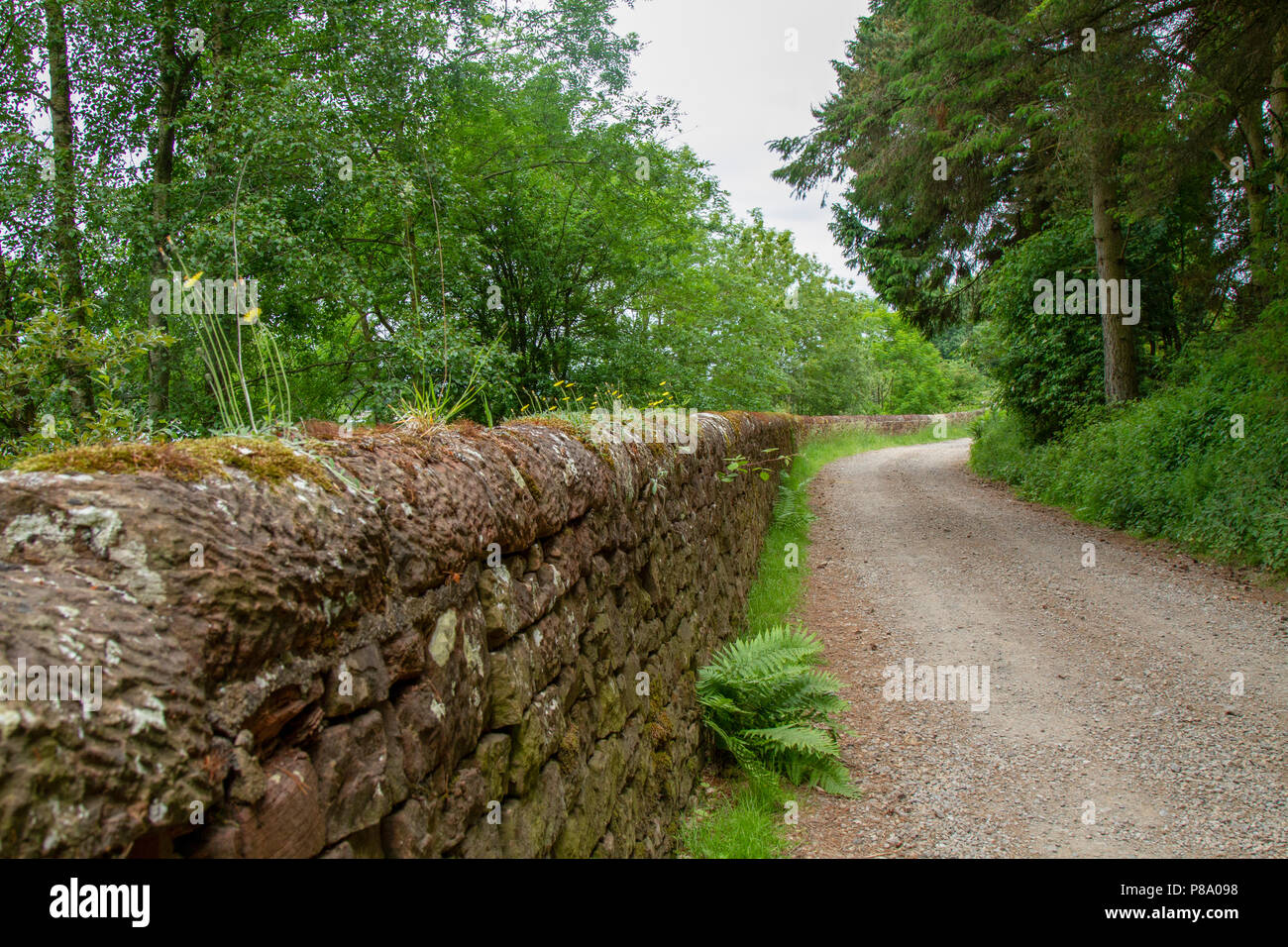 Stone wall and path at edge of Castle Carrock Reservoir Stock Photo - Alamy