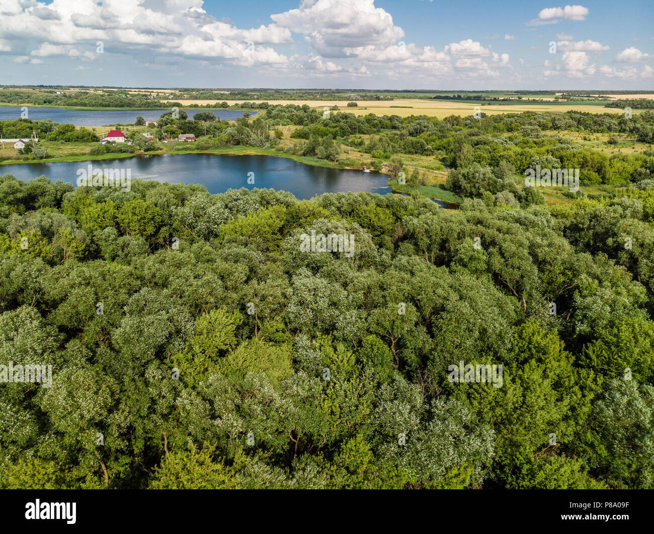 Rural landscape with forest and ponds in Russia, top view Stock Photo ...