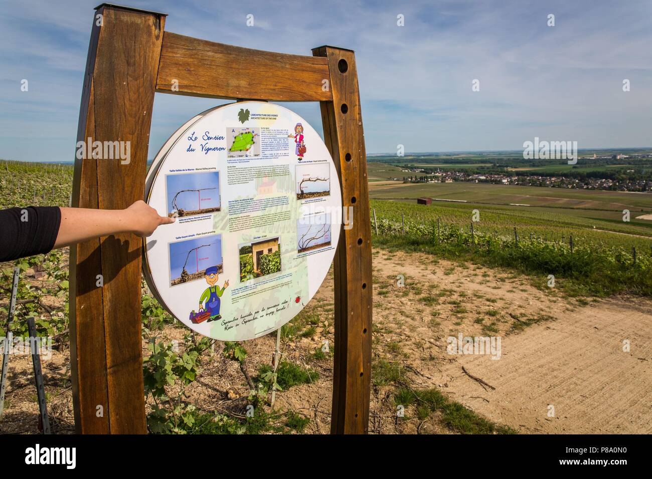 Walking france champagne hi-res stock photography and images - Alamy