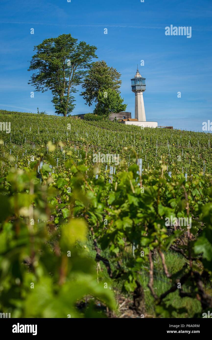 Marne verzenay lighthouse and its grapevine museum hi-res stock ...