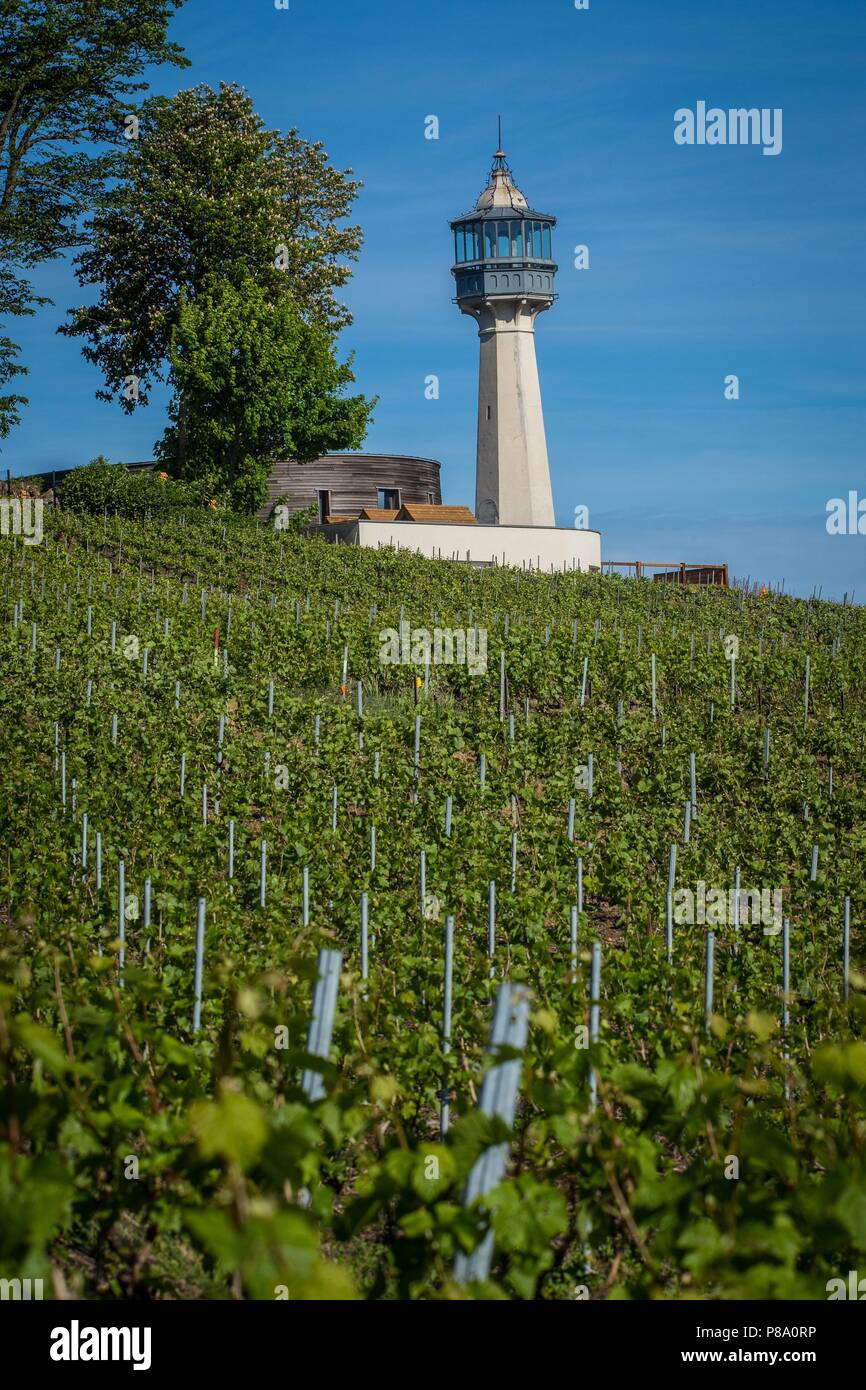 Marne verzenay lighthouse and its grapevine museum hi-res stock ...