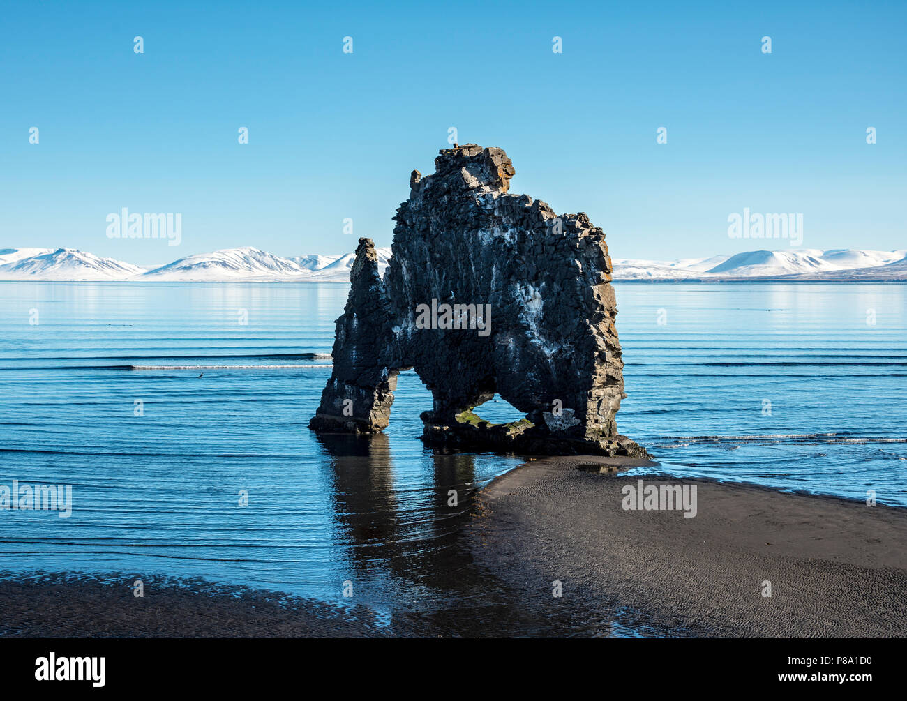 Hvitserkur, Elephant Rock on lava beach, natural basalt rock formation ...