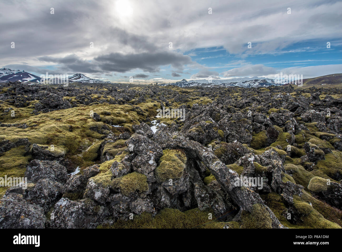 Iceland and lava and moss and people hi-res stock photography and ...
