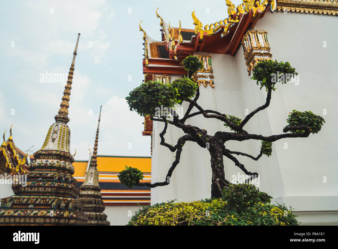 Small tree and traditional buildings in Bangkok, Thailand Stock Photo ...