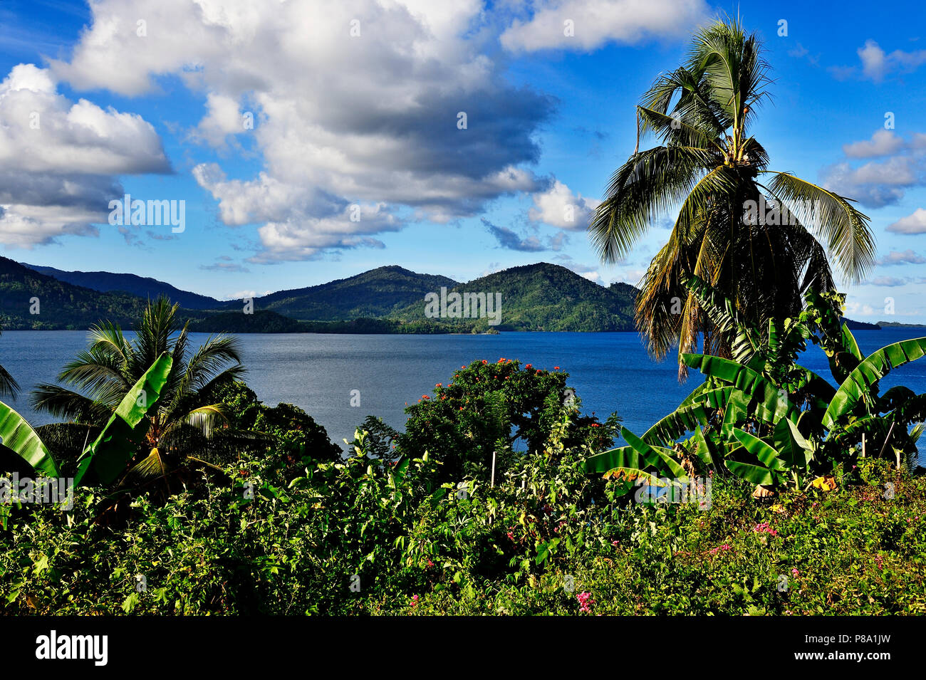 Alotau papua new guinea hi-res stock photography and images - Alamy