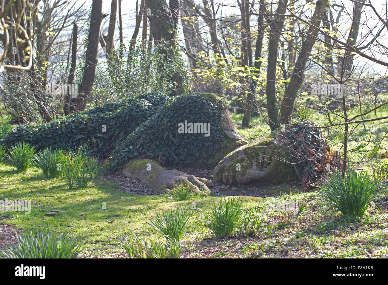 The lost gardens of heligan wildlife hi-res stock photography and ...