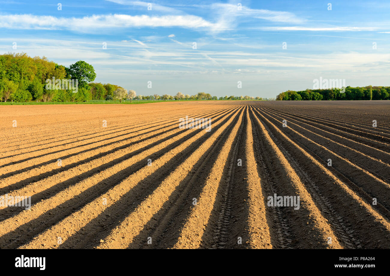 Distant ploughed field hi-res stock photography and images - Alamy