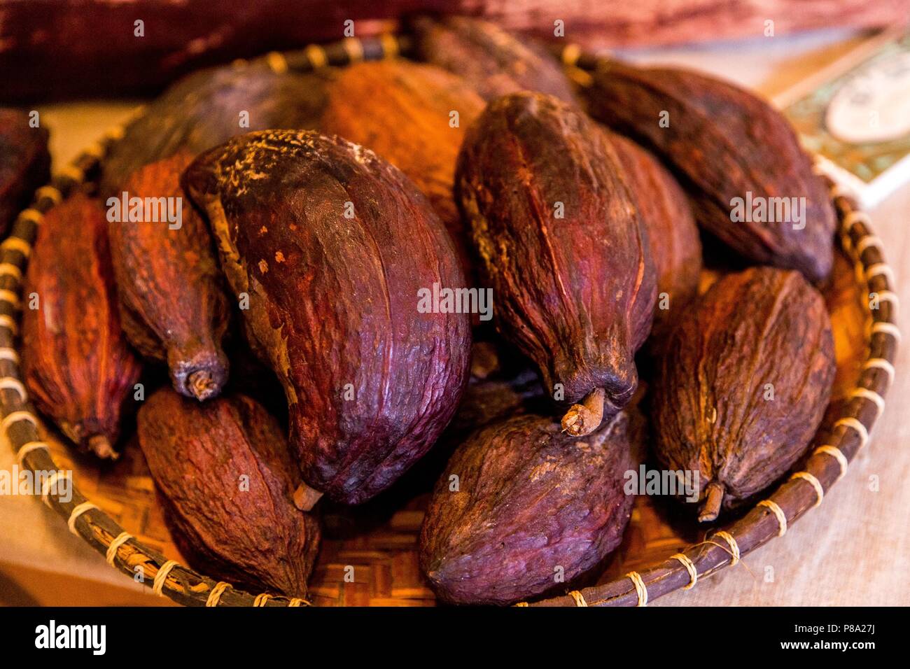 Chocolate museum biarritz hi-res stock photography and images - Alamy