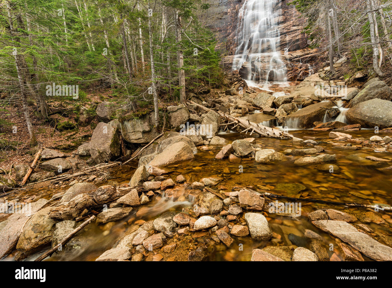 Arethusa hi-res stock photography and images - Alamy