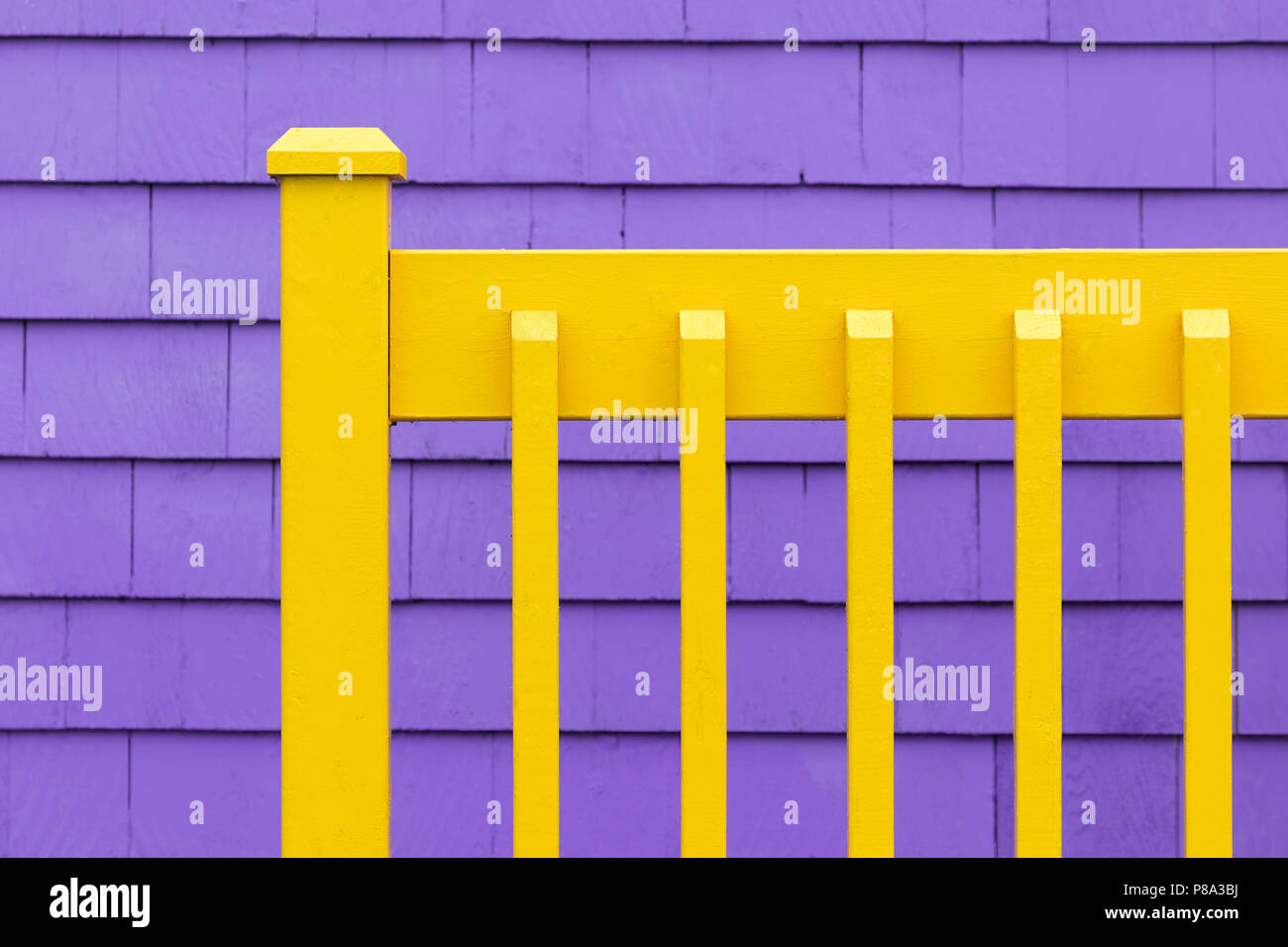 Purple shingle wall with yellow wooden fence. Decorative minimalist ...