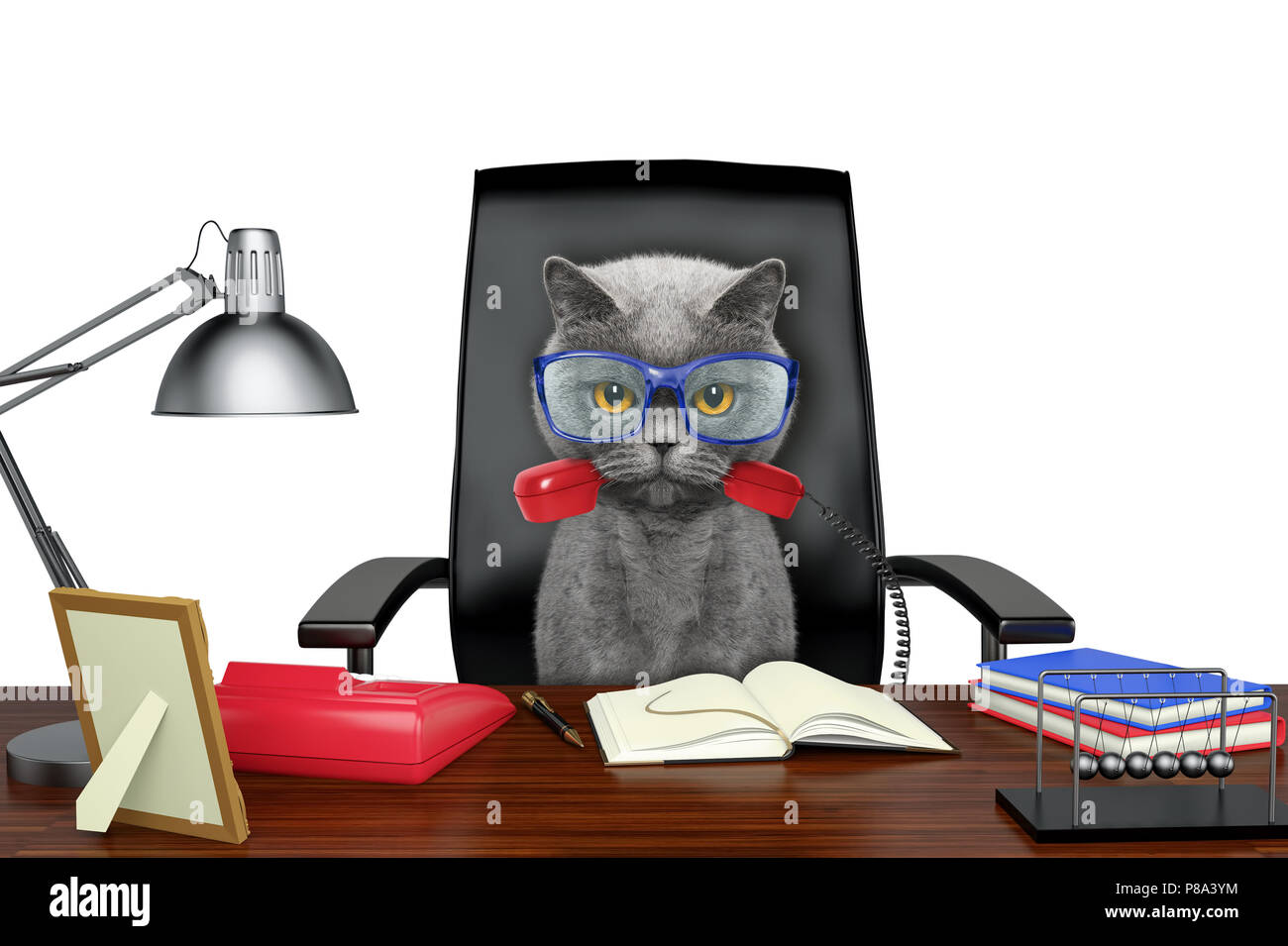 Cute cat sitting on leather chair with telephone in his mouth. Isolated ...