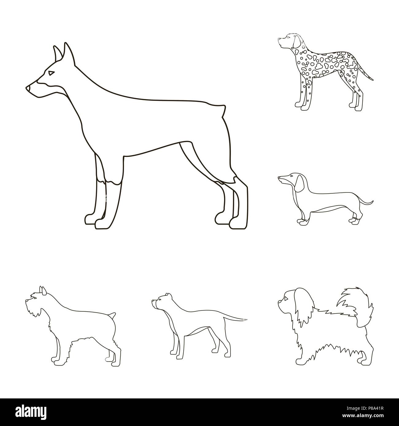 Dog breeds outline icons in set collection for design.Dog pet vector ...