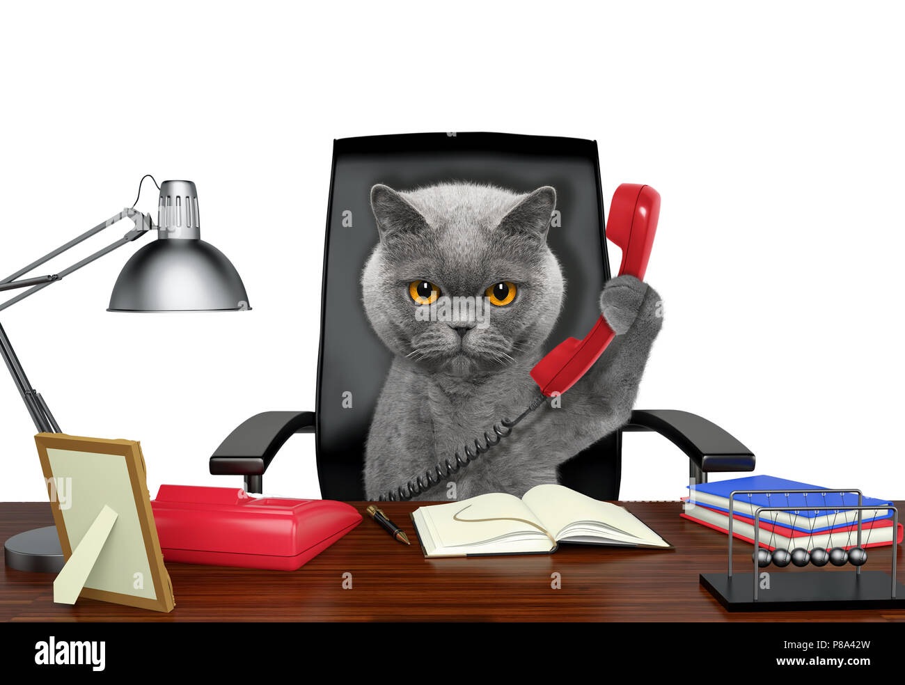 Cat sitting on leather chair with telephone. Isolated on white Stock ...
