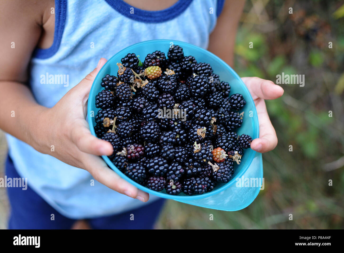 Child Blackberries High Resolution Stock Photography and Images - Alamy