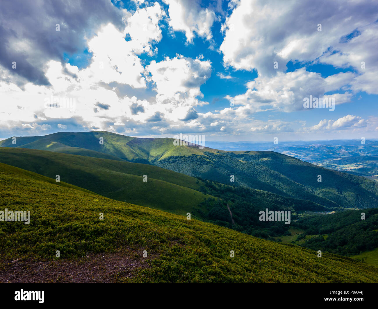 The boundless ocean of heavens with white clouds floating on it . For ...