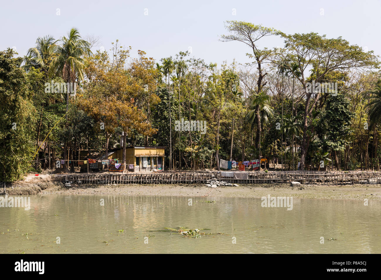 Bangladeshi village landscape hi-res stock photography and images - Alamy
