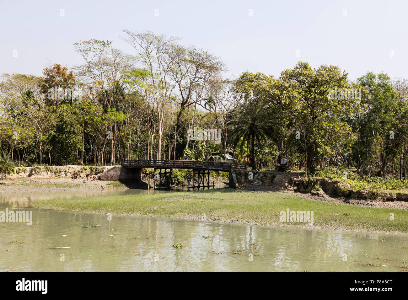 Landscape with tropical vegetation with a bridge at a riverside in ...