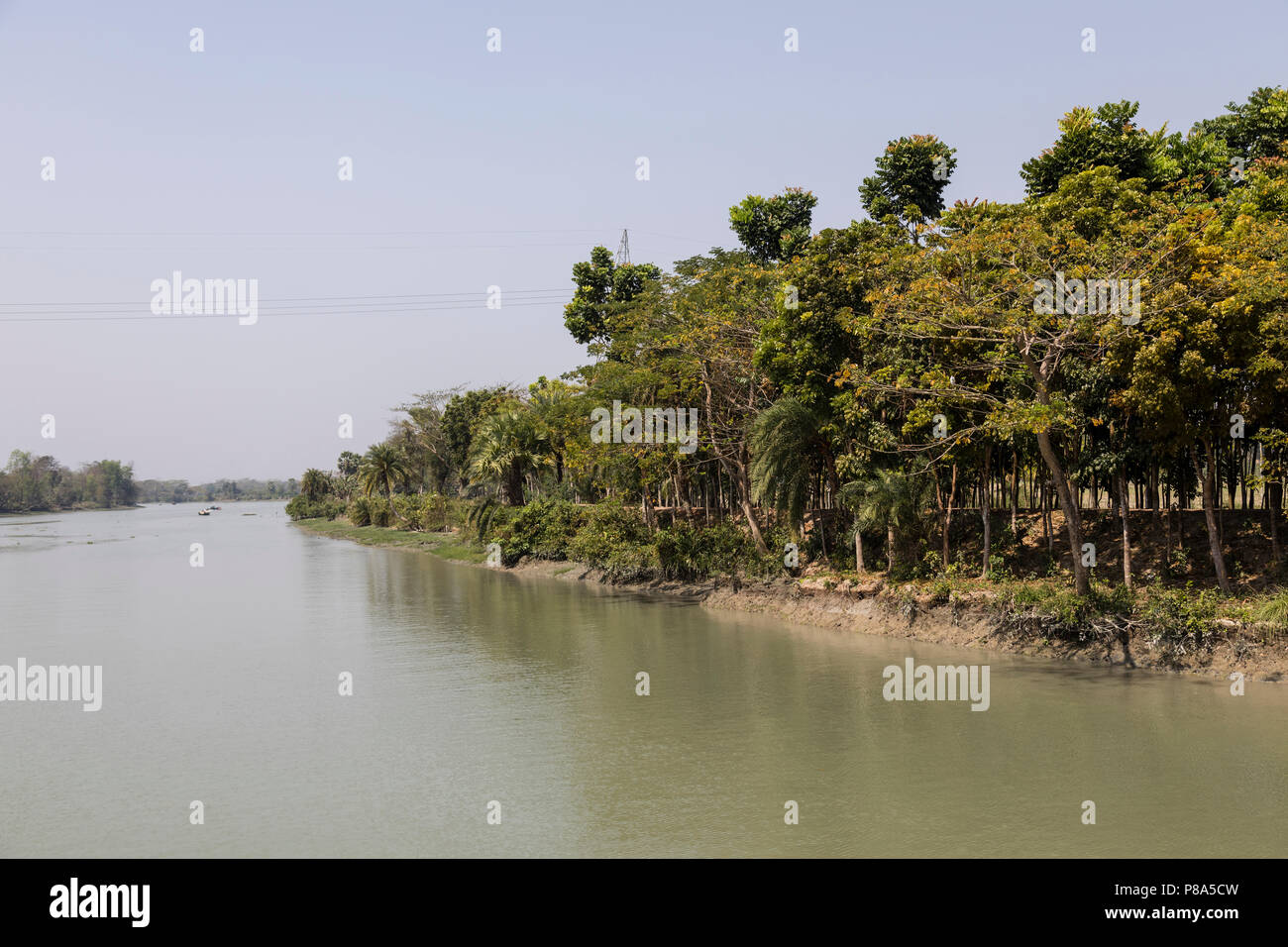 Landscape with tropical vegetation of a riverside in Bangladesh Stock ...