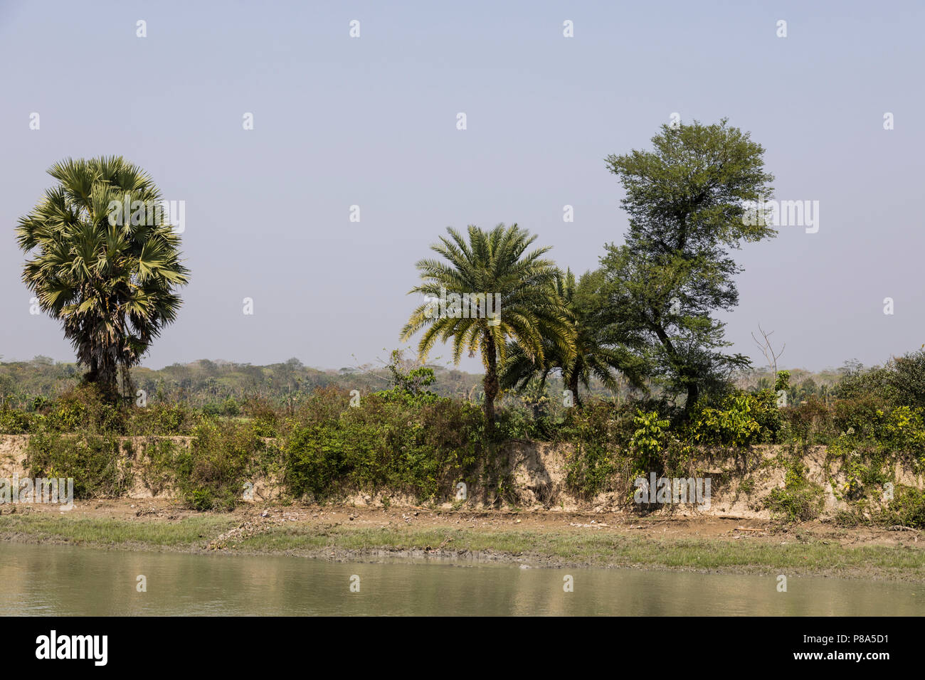 Bangladeshi village landscape hi-res stock photography and images - Alamy