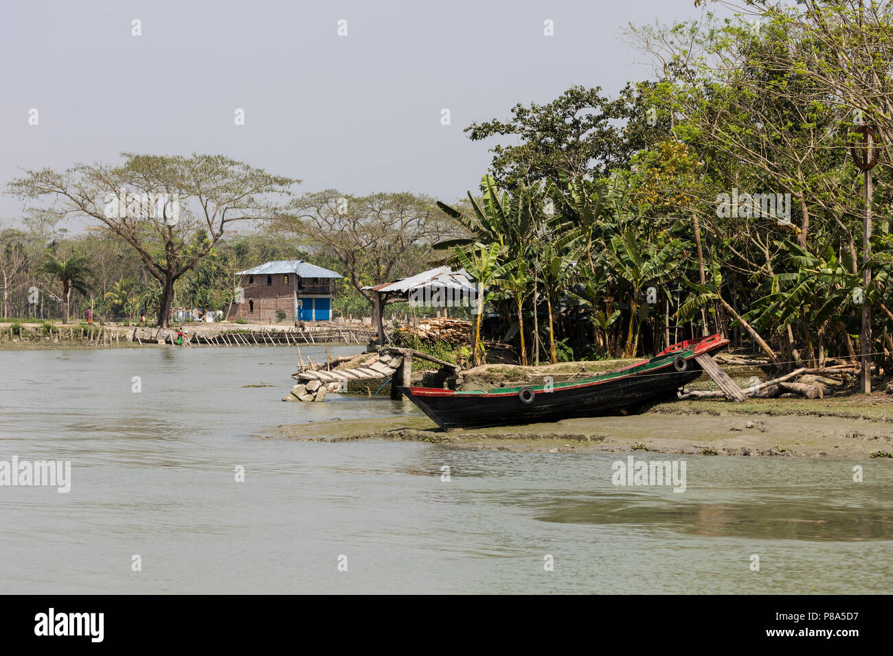 Landscape with tropical vegetation and houses on a riverside in ...