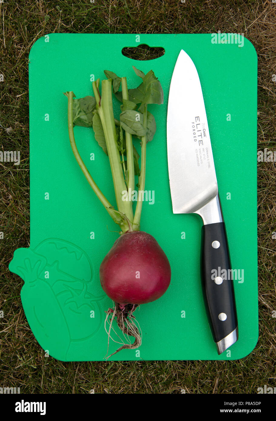 Giant radish plant hi-res stock photography and images - Alamy