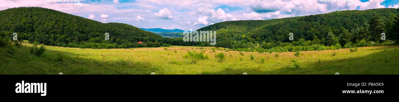 A magnificent panorama of a lush valley covered with grass and a low ...