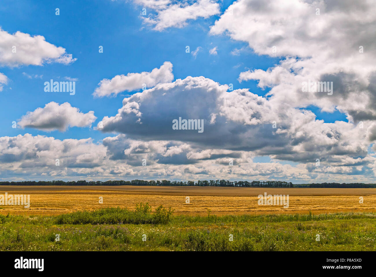 Cumulus cloud grow hi-res stock photography and images - Alamy