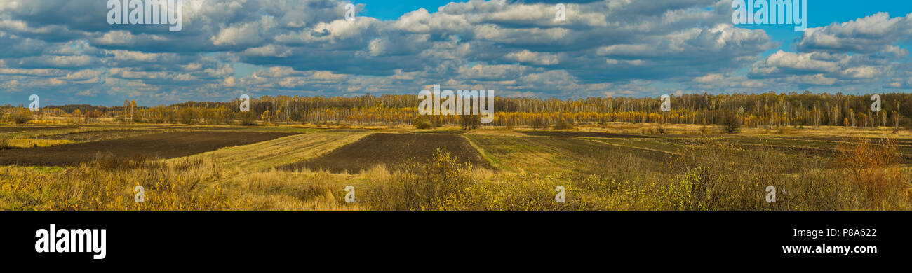 A beveled field against a background of tall trees in the distance and ...