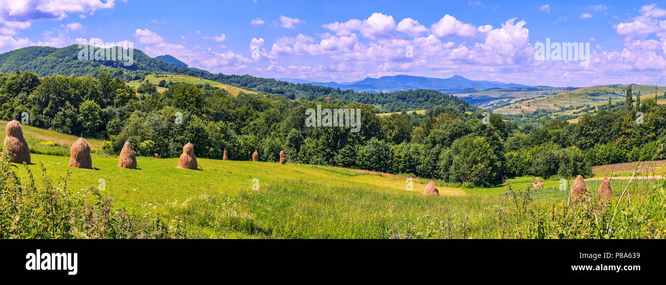 Panorama of green slopes with harvested haystacks with growing trees ...