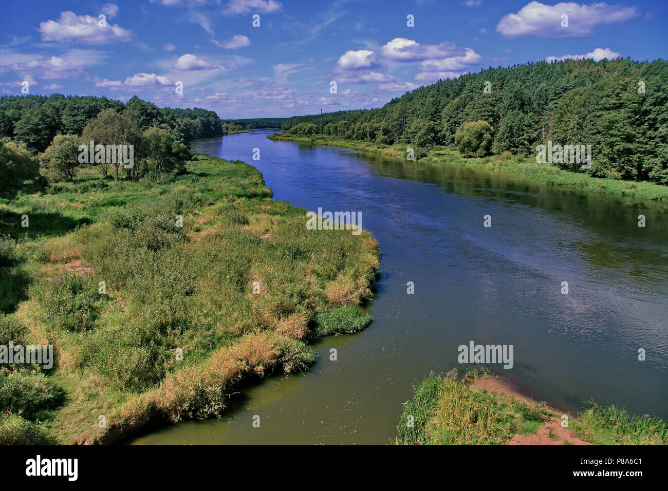 Fast river flow with green trees on the coastal slopes against the blue ...