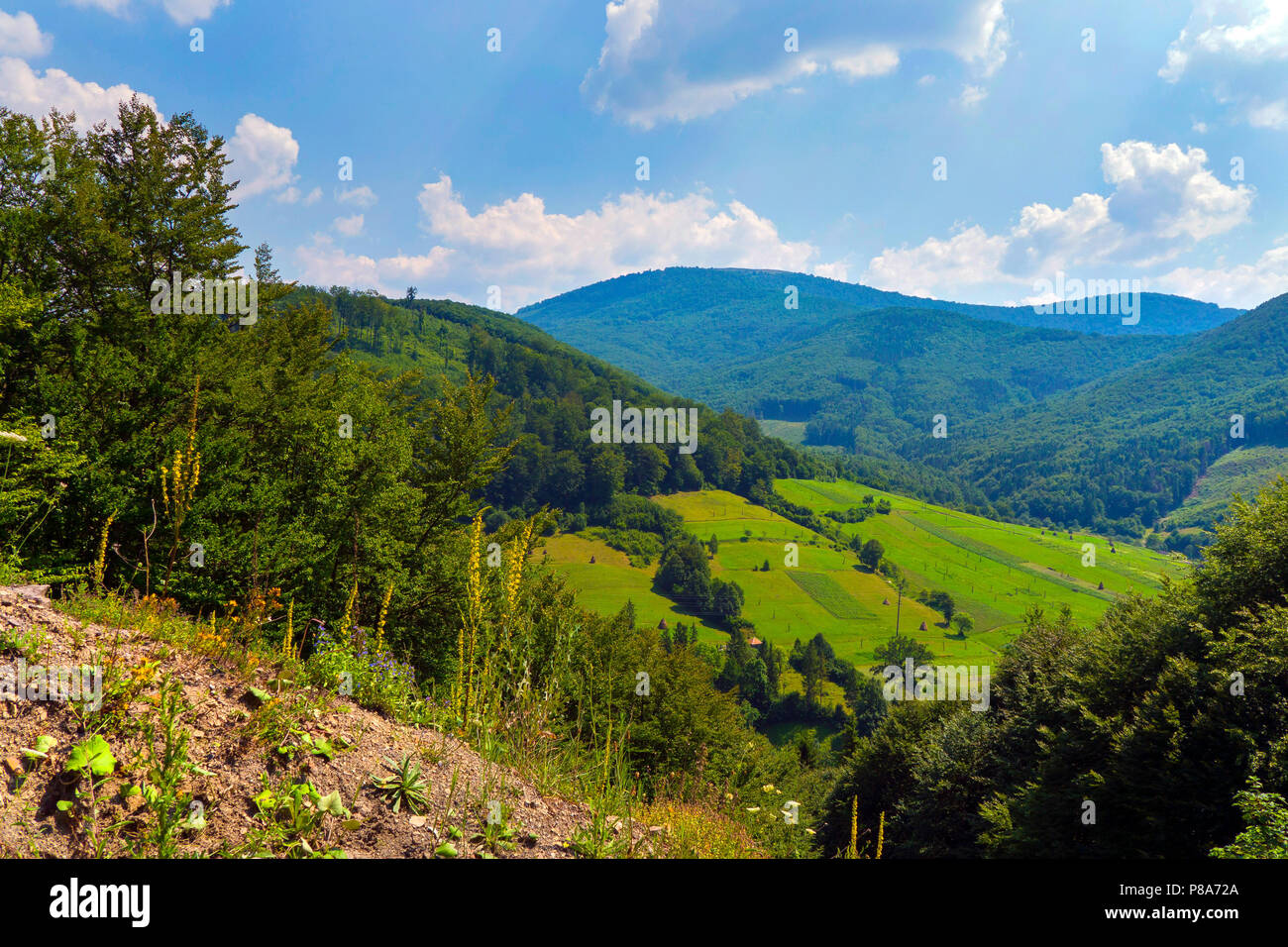 a magnificent mountain plateau lying between beautiful green mountains ...