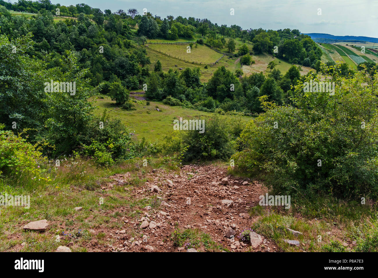 Rural lands on green slopes surrounded by a hedge. With already mown ...