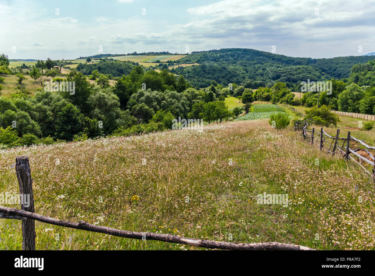 Wooden hedge hi-res stock photography and images - Alamy