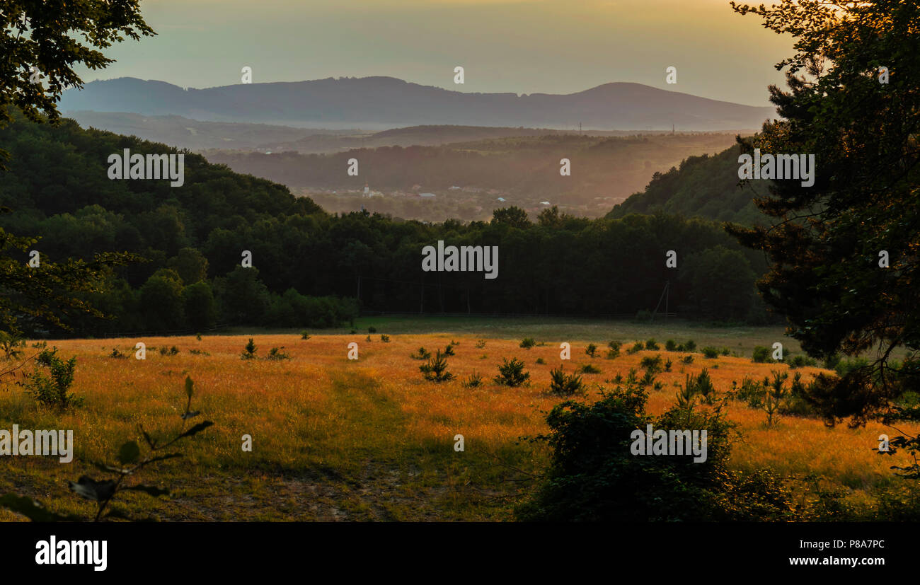 Beautiful glade hi-res stock photography and images - Alamy