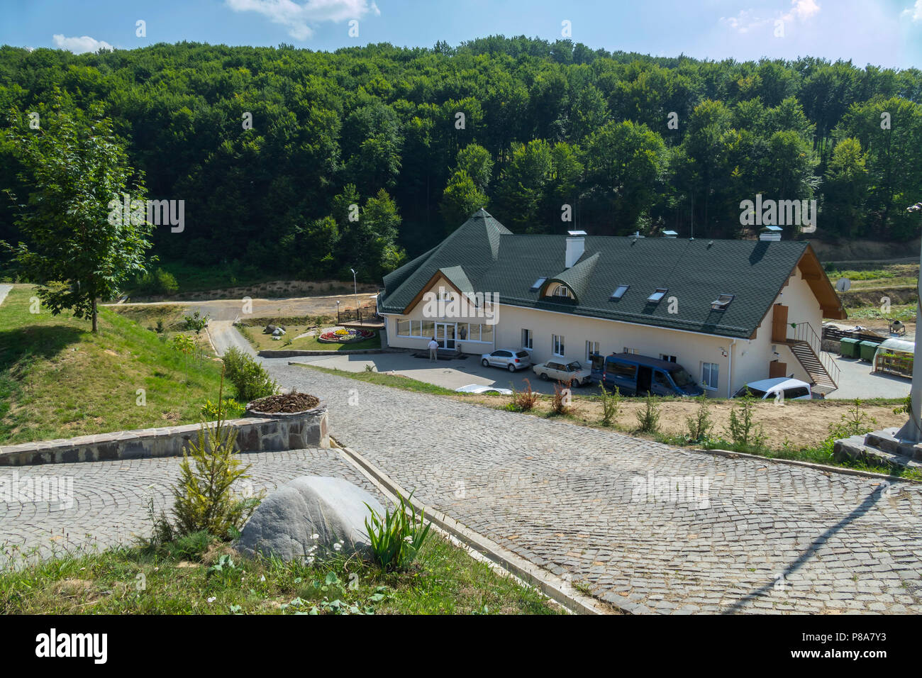 Drowning tree hi-res stock photography and images - Alamy