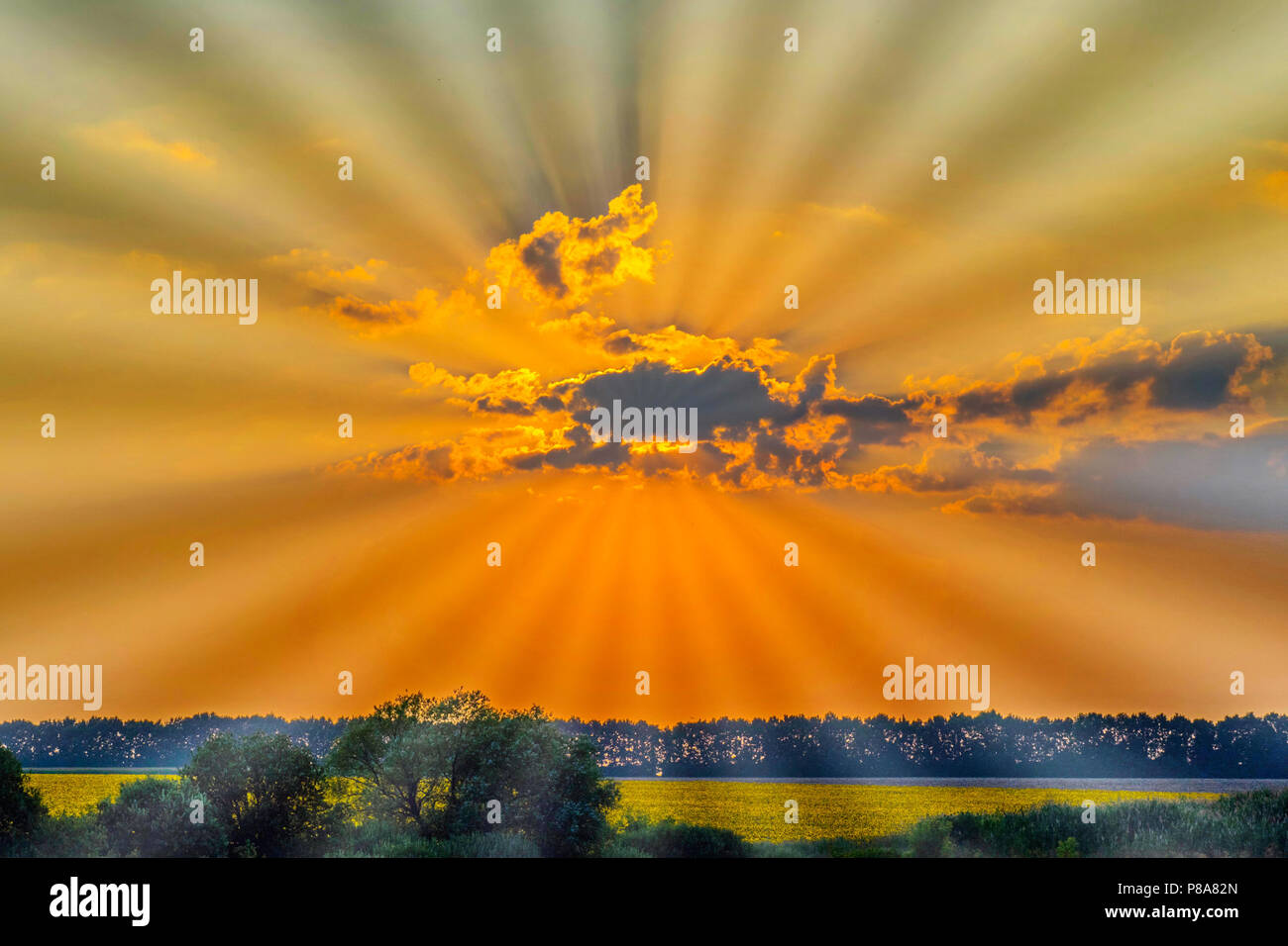 A beautiful landscape depicting a sun hiding behind a cloud over green ...