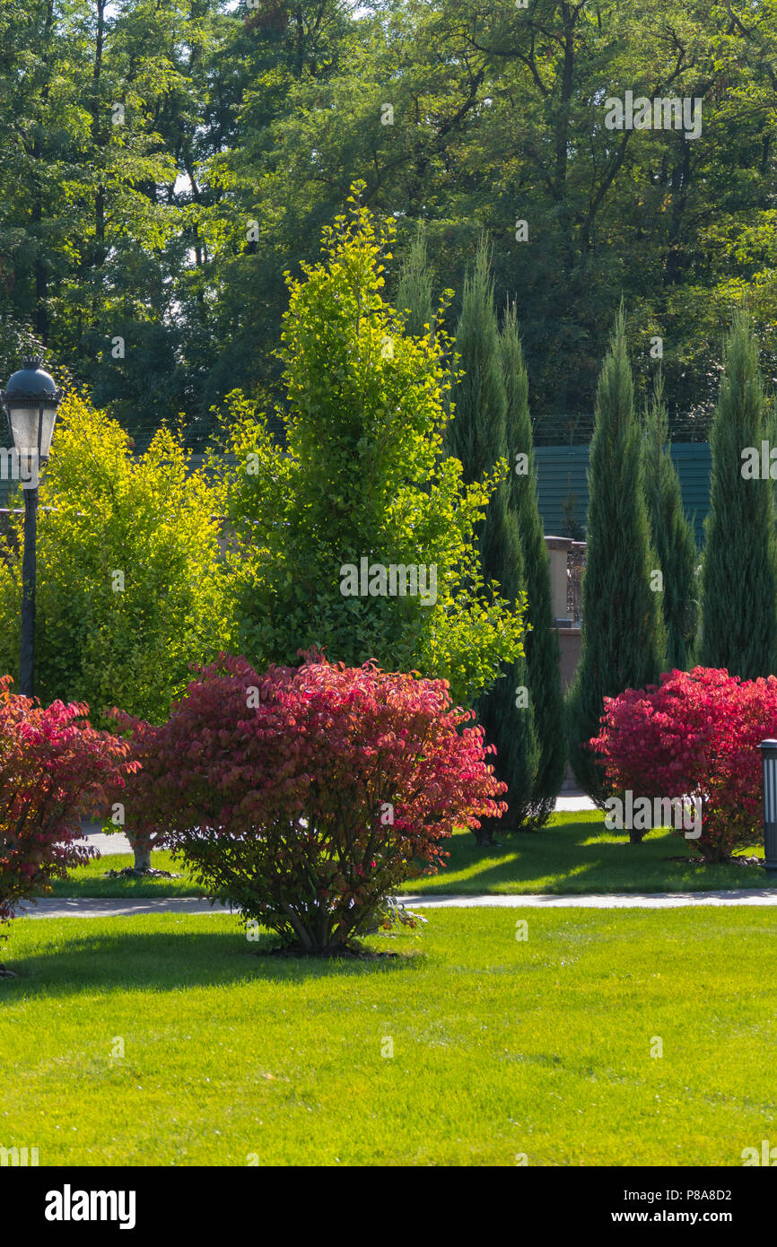 A harmonious combination of colors in the park with different kinds of ...