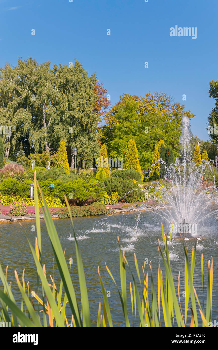 Graceful trees hi-res stock photography and images - Alamy