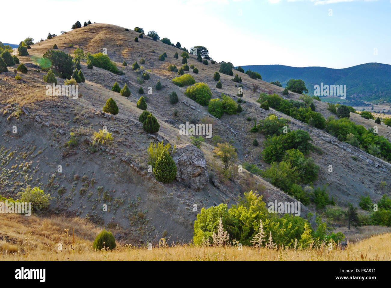 Slope of a low mountain with rare trees and lying stones and blue sky ...