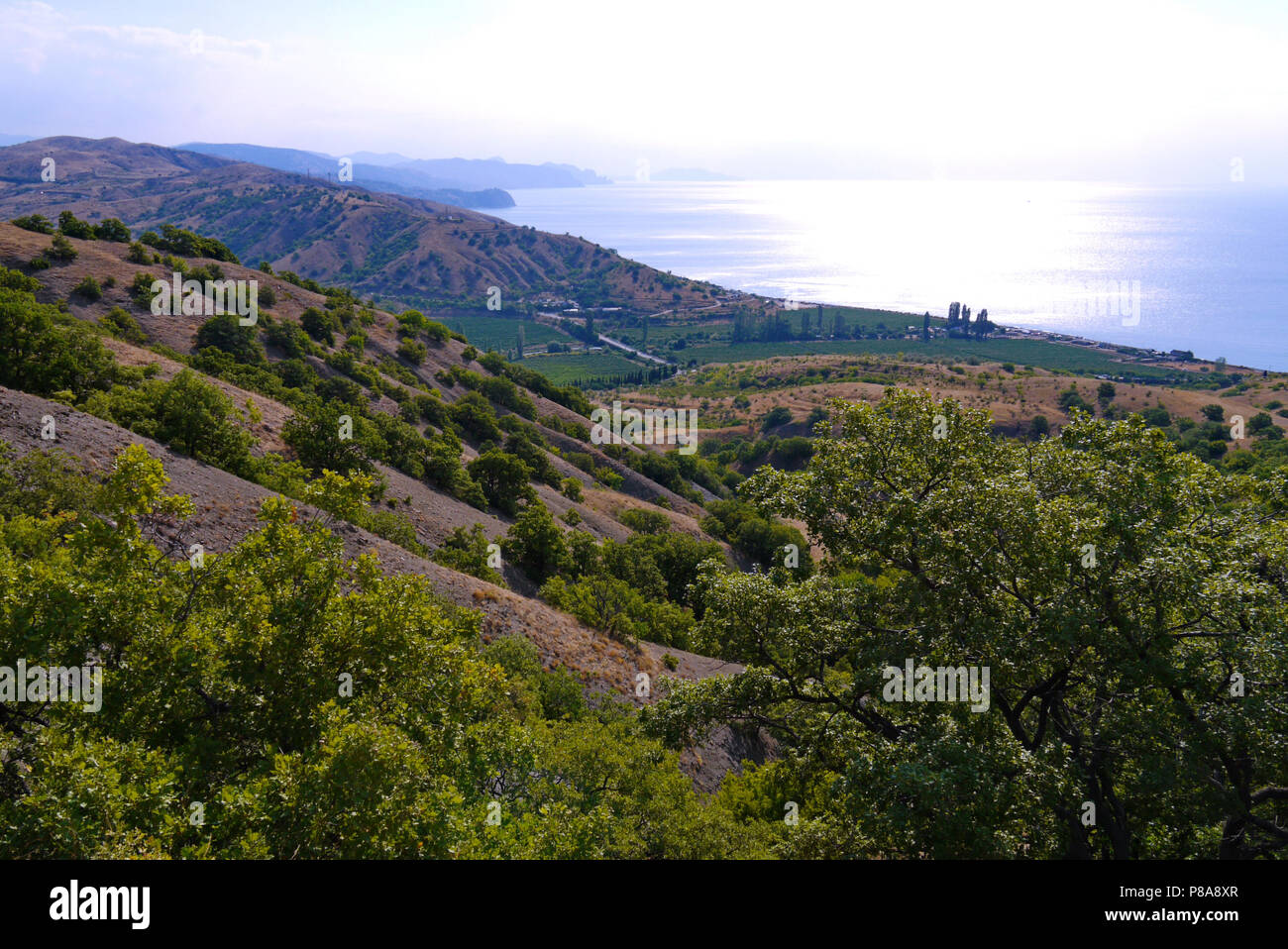 gray high hills with a small town and green vineyards in the valley on ...